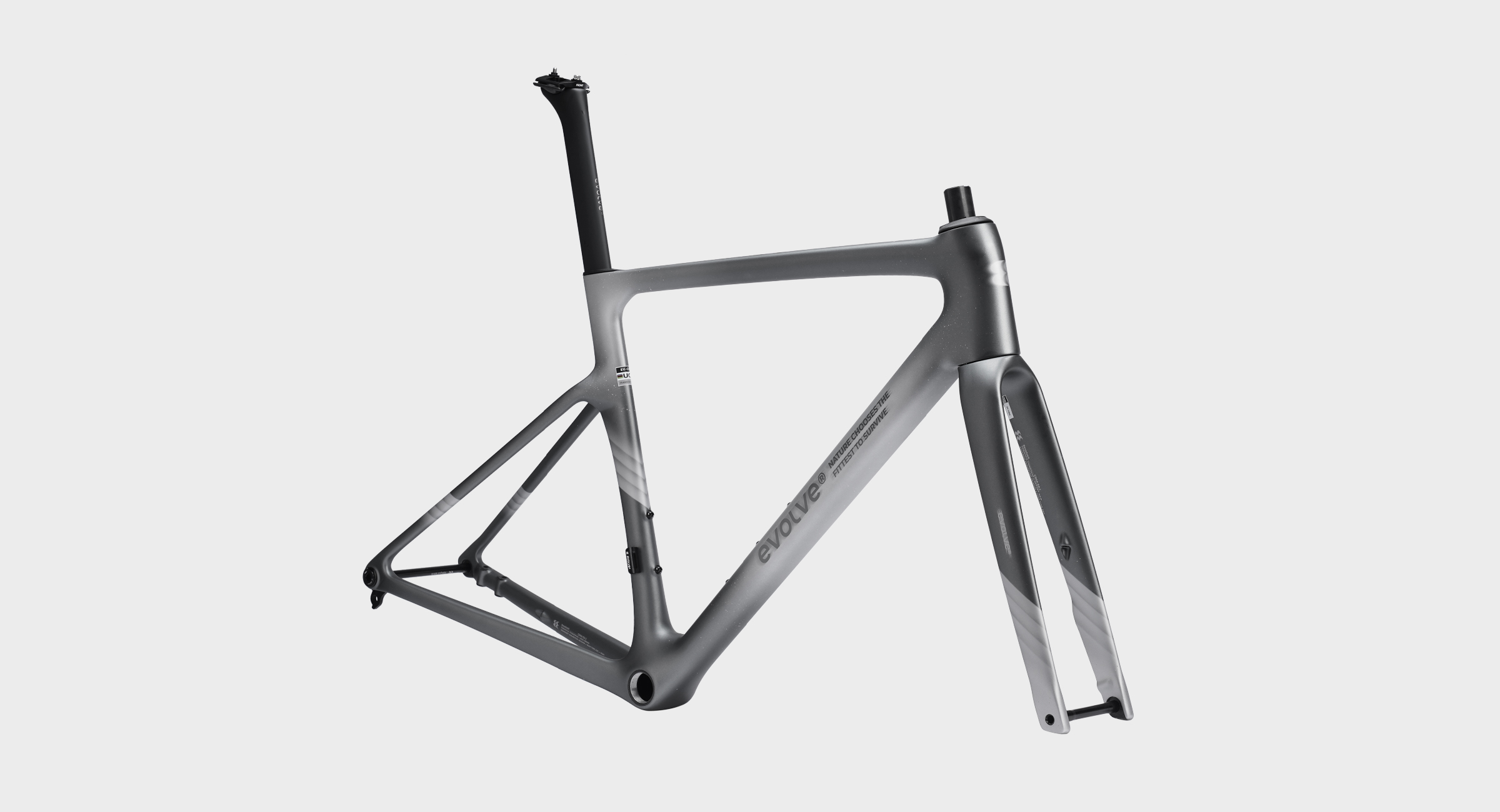 evolve CIMA Performance Carbon road bike Frameset - Artist Mist