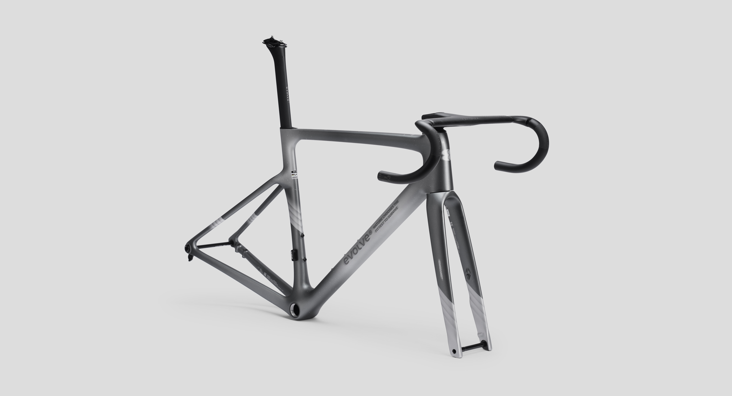 evolve CIMA Performance Carbon road bike Frameset - Artist Mist