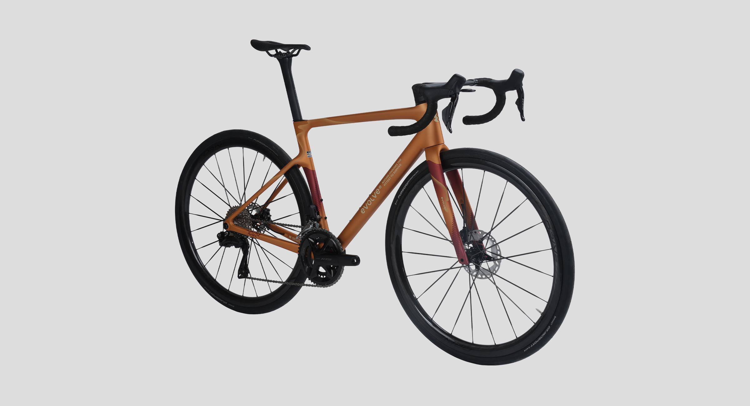 evolve CIMA Performance Carbon Bicycle Frame - Artist Wilderness